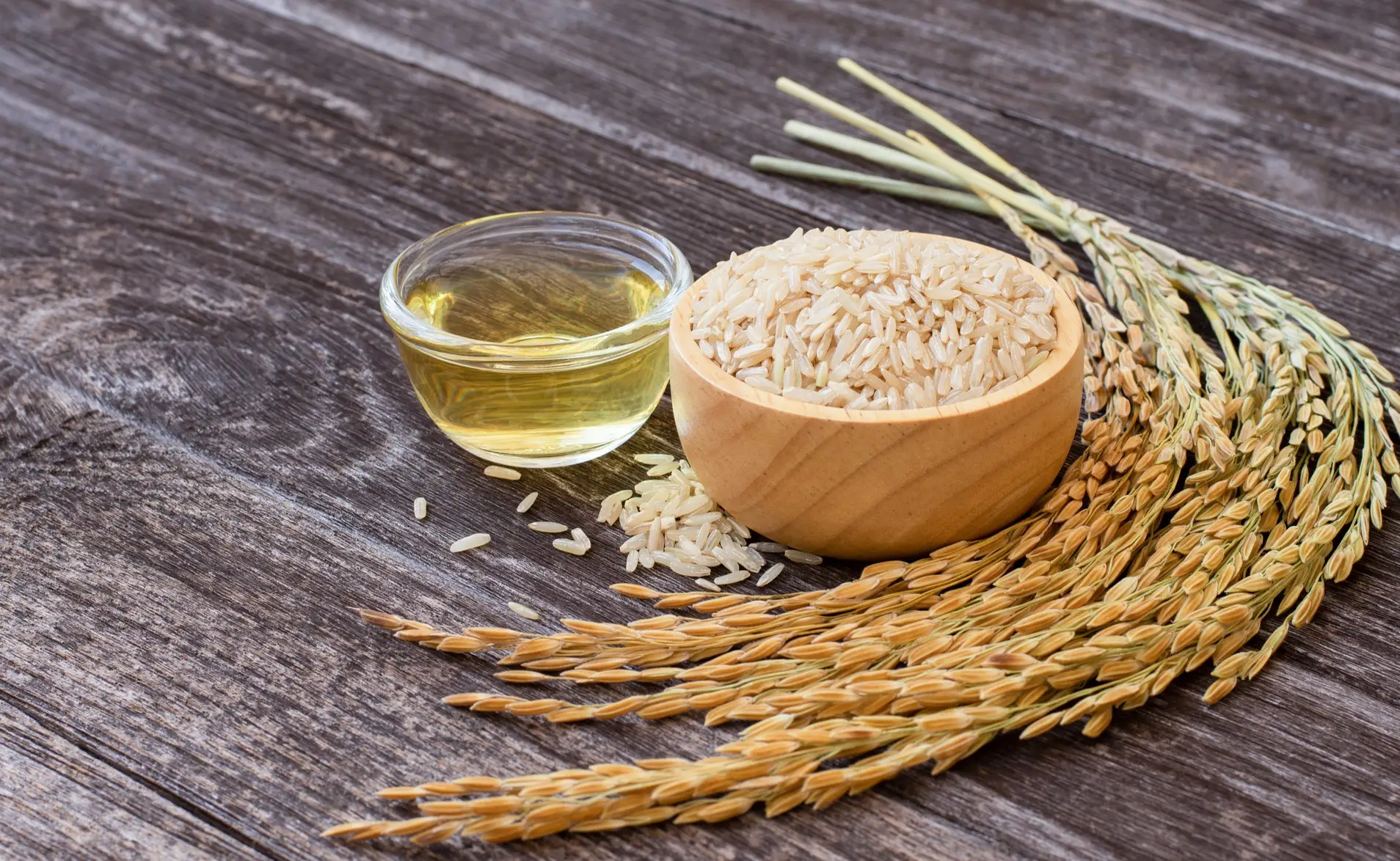 文章 | FWD MAX - 啟發及探索您的新靈感